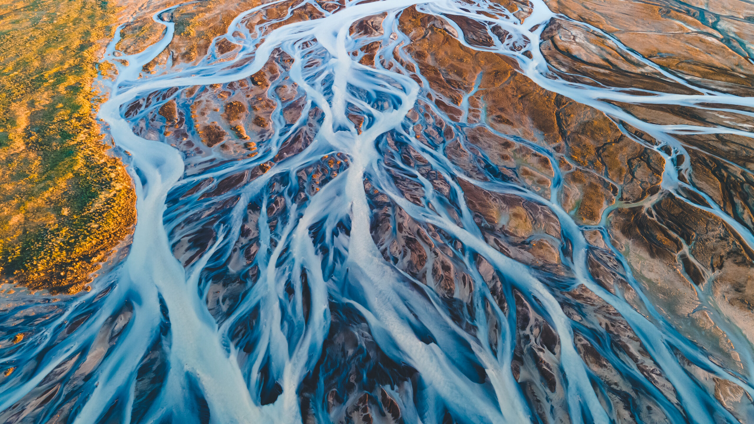 What the Layer They Cannot Build Actually Looks Like - Bluemind